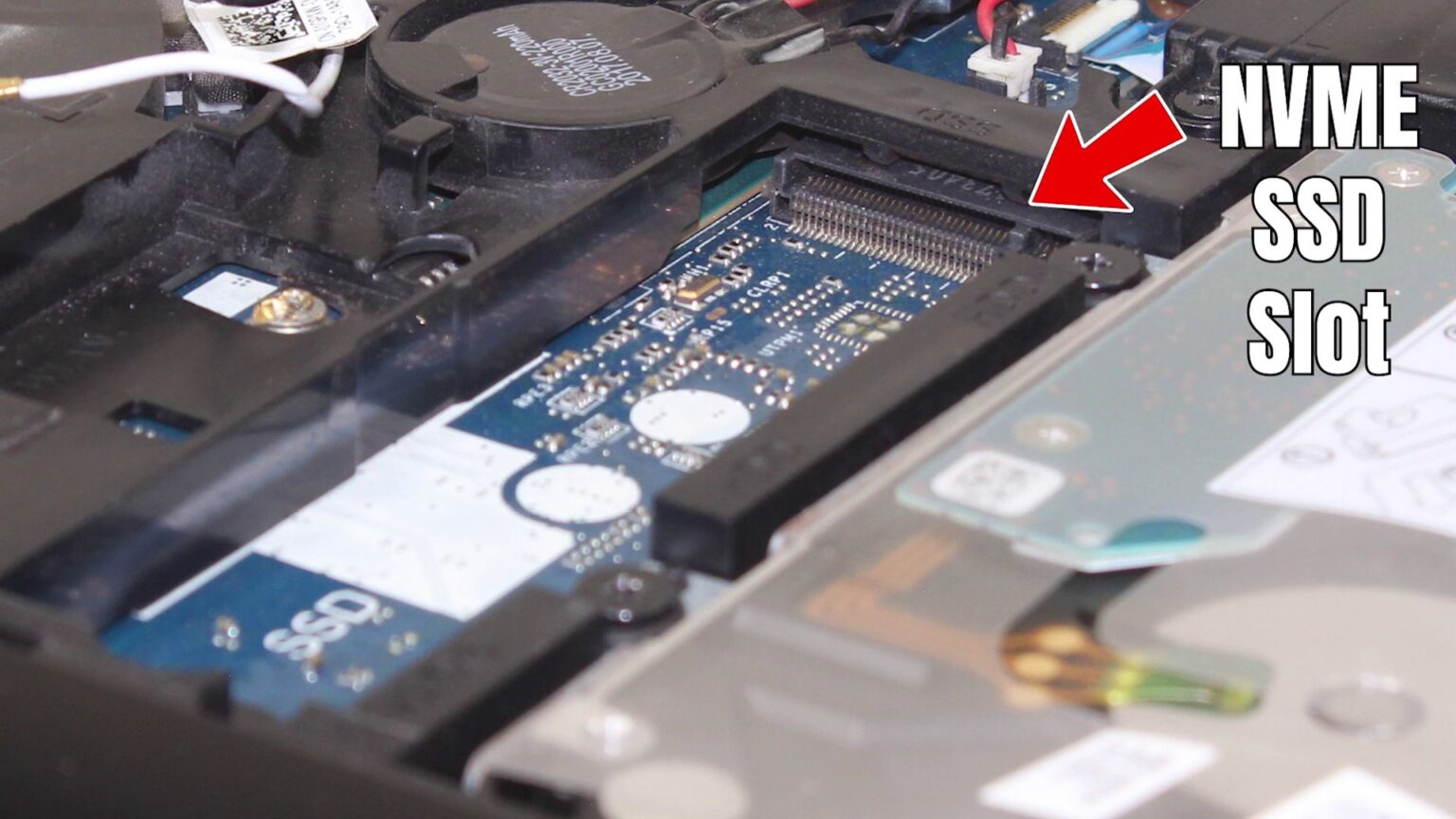 M.2 SSDs: Check These Before You Buy - GEEKY SOUMYA